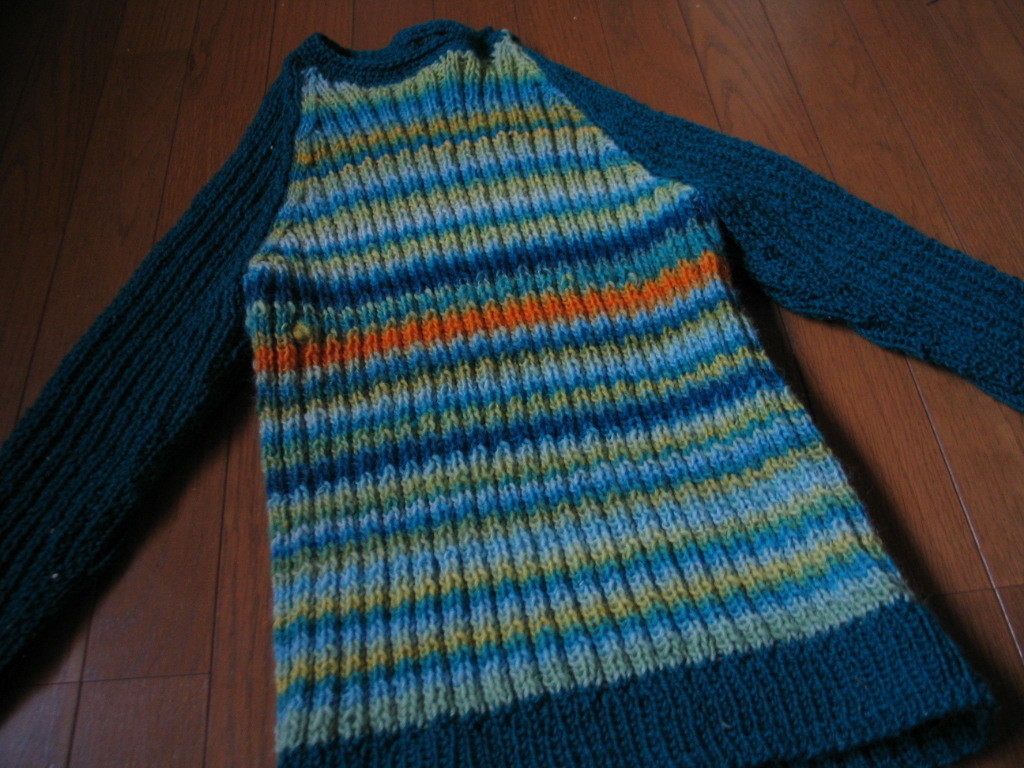 セーター完成！ スヌード付き: Fisch und Ich3